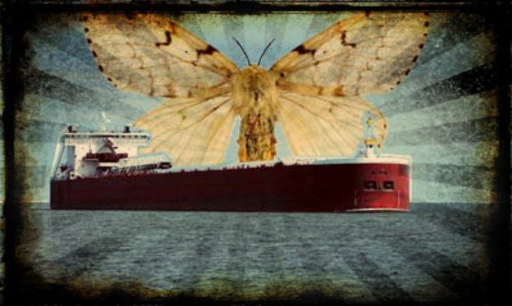 Asian Gypsy Moth Infestation – Officer of the Watch